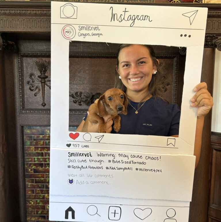 Impact of UGA Mentor Program on Ag Dawgs: Audrey Sutton & Shannon ...