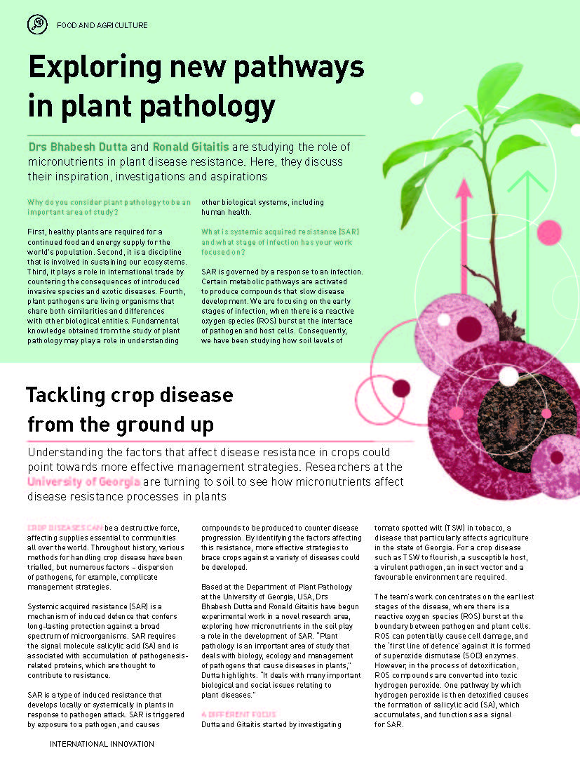Photo Gallery | UGA Vegetable Extension Pathology Program