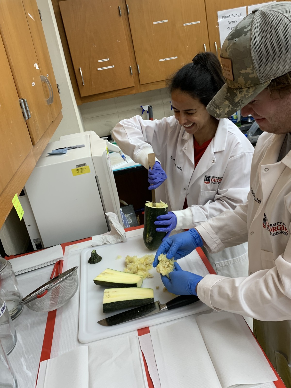 Wrapping up the first summer trials of the GA vegetable commission ...