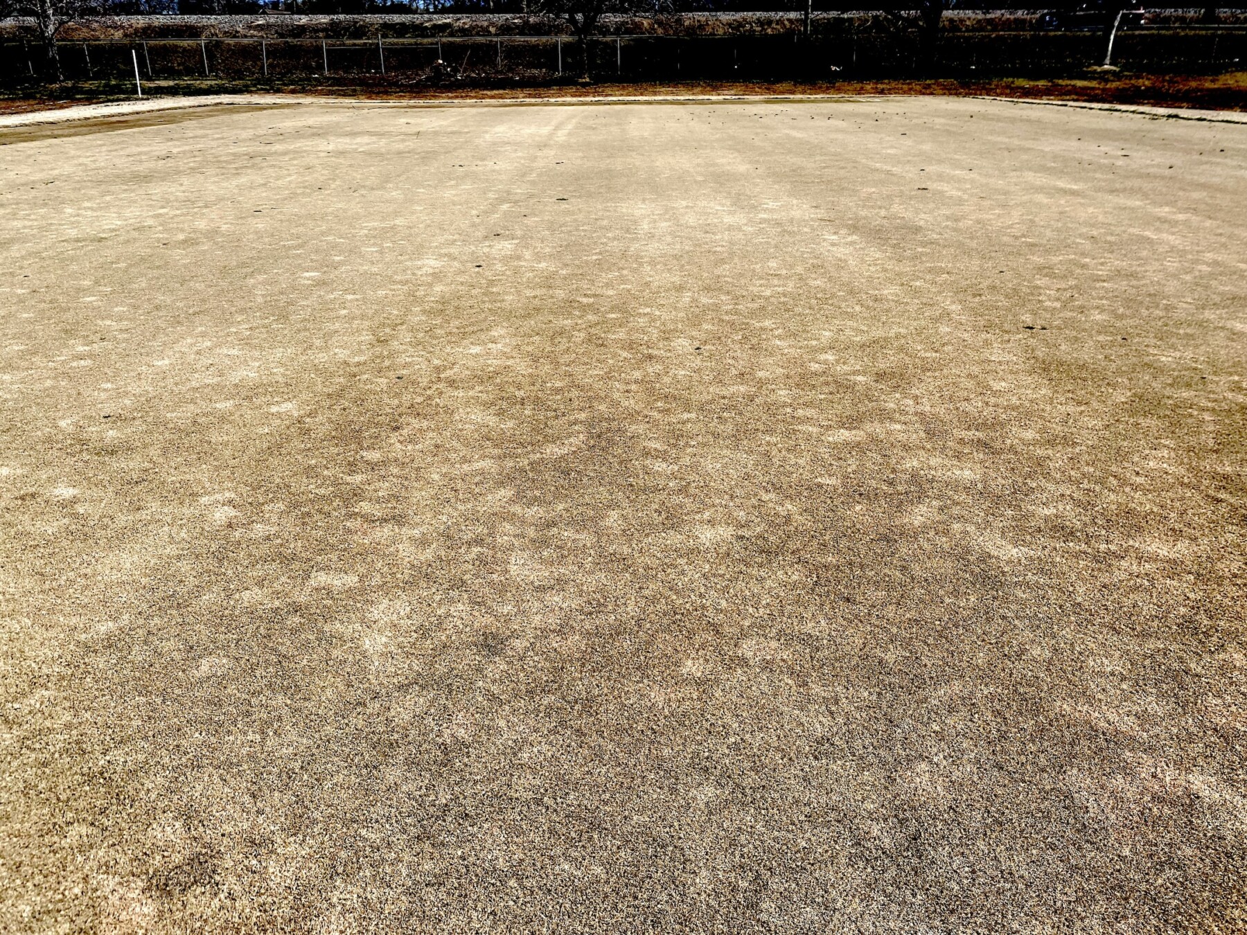 Cream Leaf Blight: To Treat or Not to Treat, That is the Question | Turf and Ornamental Pest ...