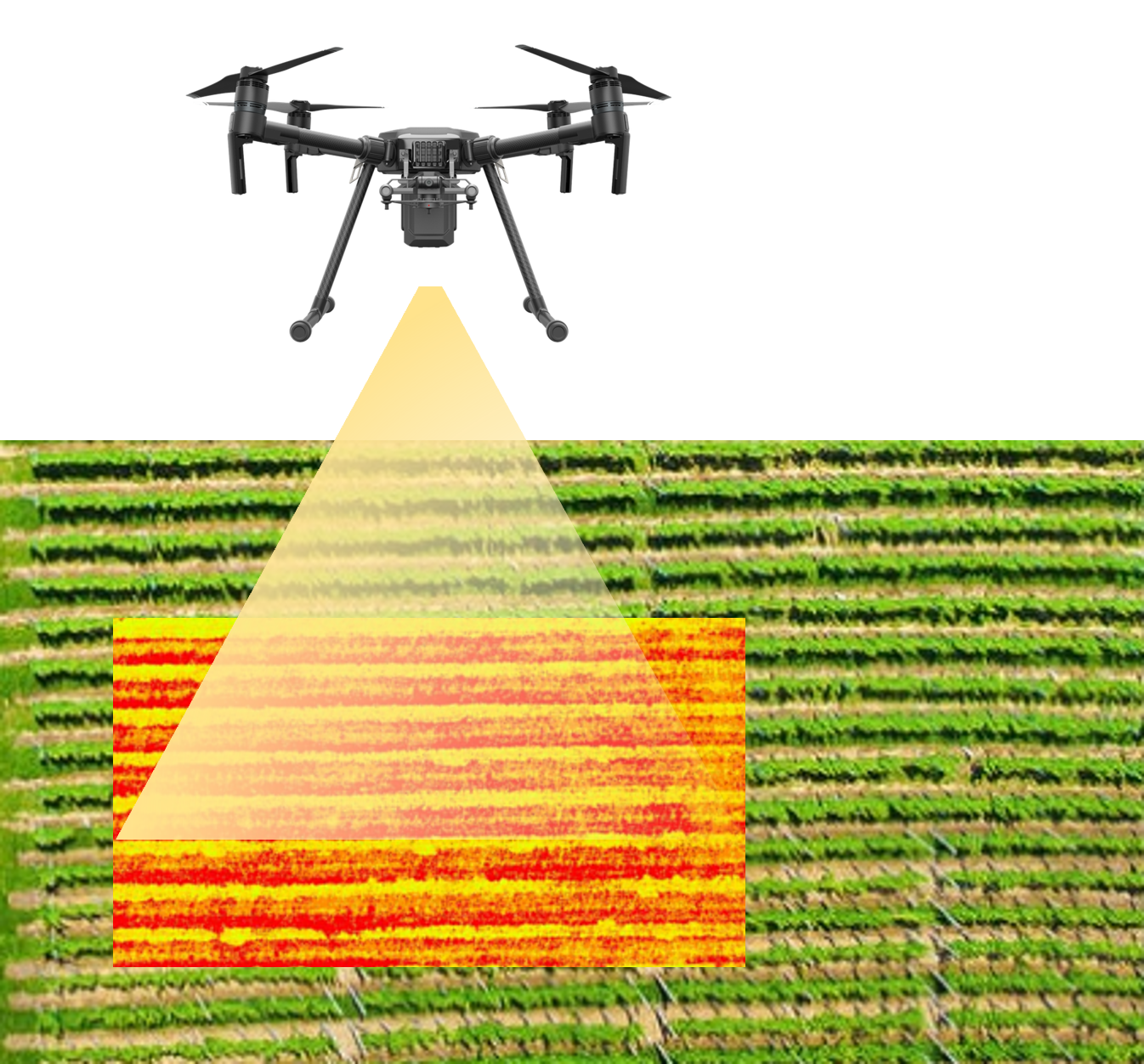 Research | Precision Crop Protection Lab