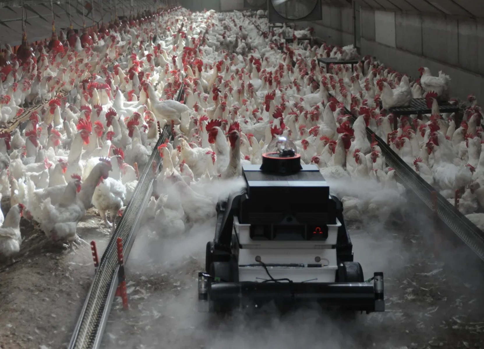 Robots for Precision Poultry and Egg Production | Precision Poultry Farming