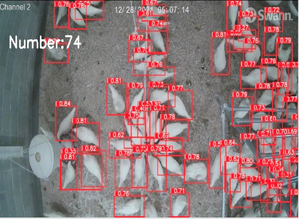 Poultry Monitoring Precision Poultry Farming