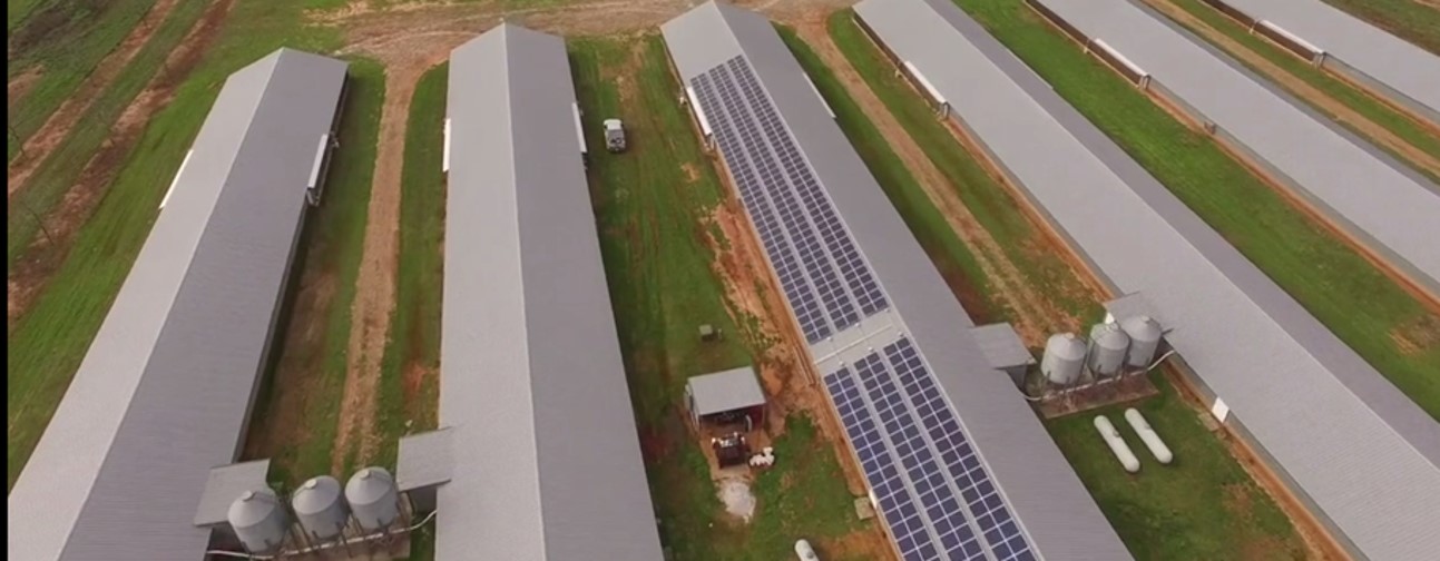 Solar Powering Systems for Climate Smart Poultry Production in Georgia ...