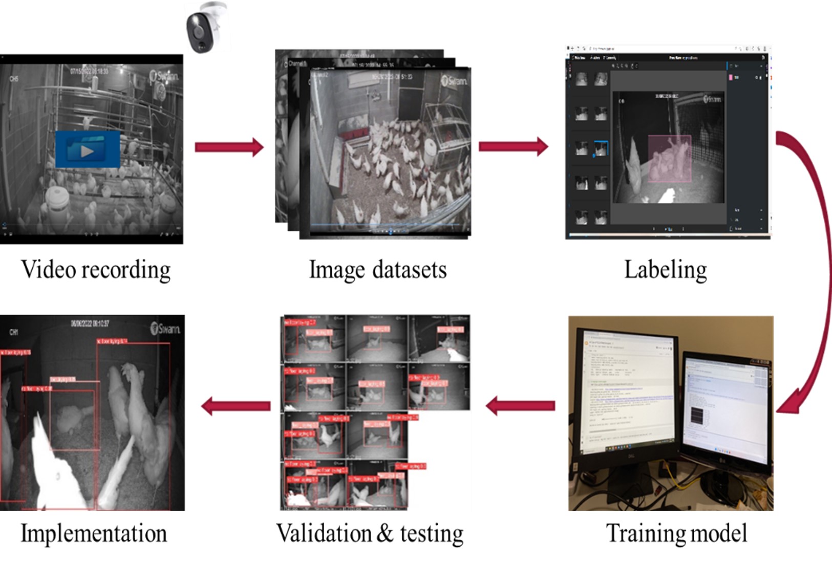 Cage-Free Hens’ Mislaying Behavior Detection with Deep Learning ...