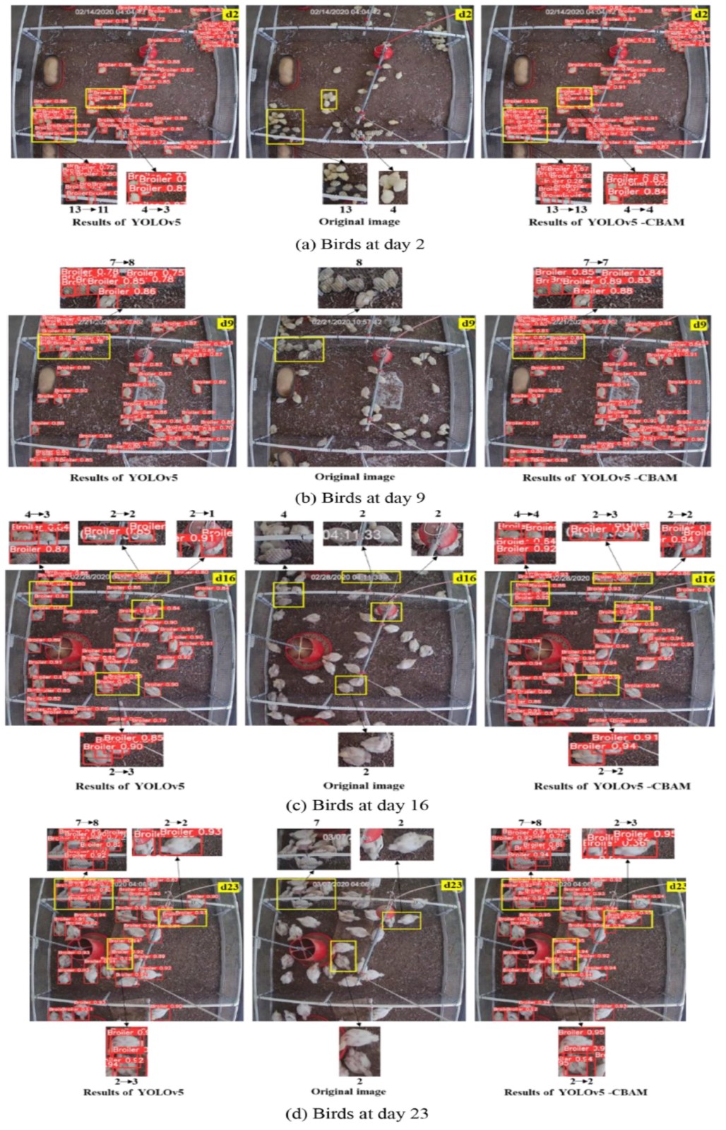 Detecting Broiler Chickens with an Innovated Deep Learning Model ...