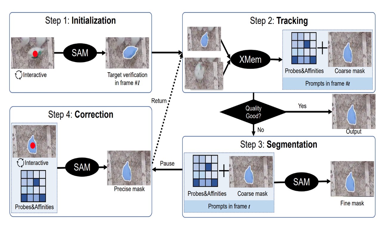Tracking Poultry Locomotion with AI Technology | Precision Poultry Farming