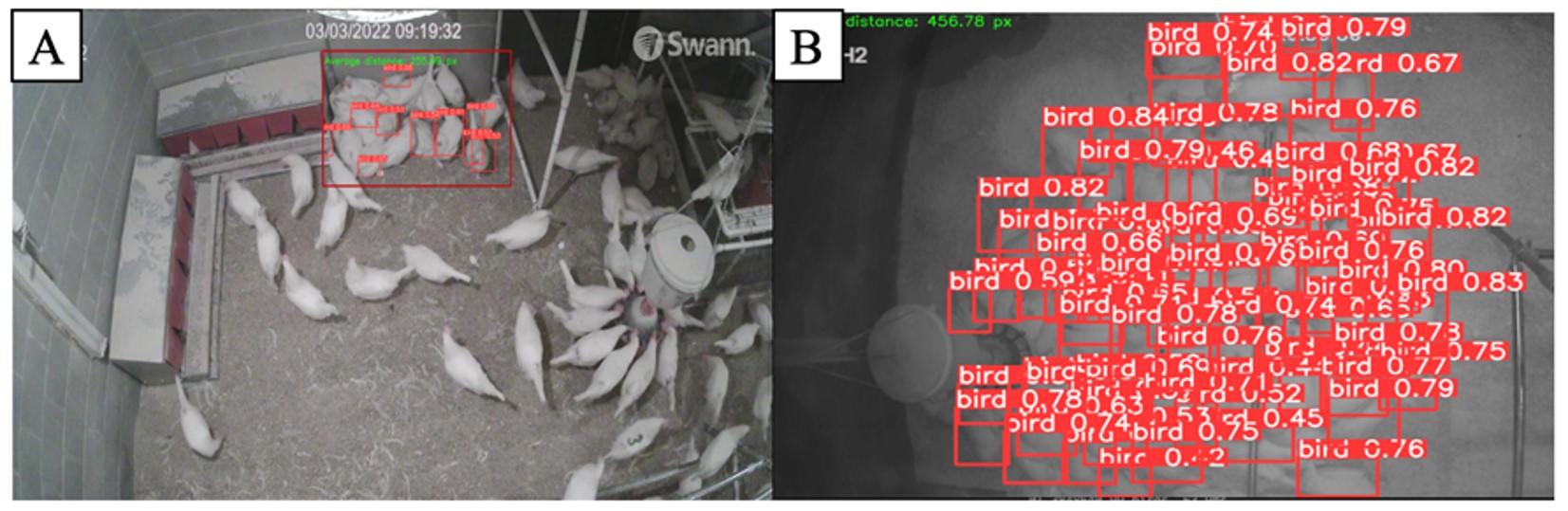 Monitoring Poultry Activity Index With Deep Learning Precision Poultry Farming