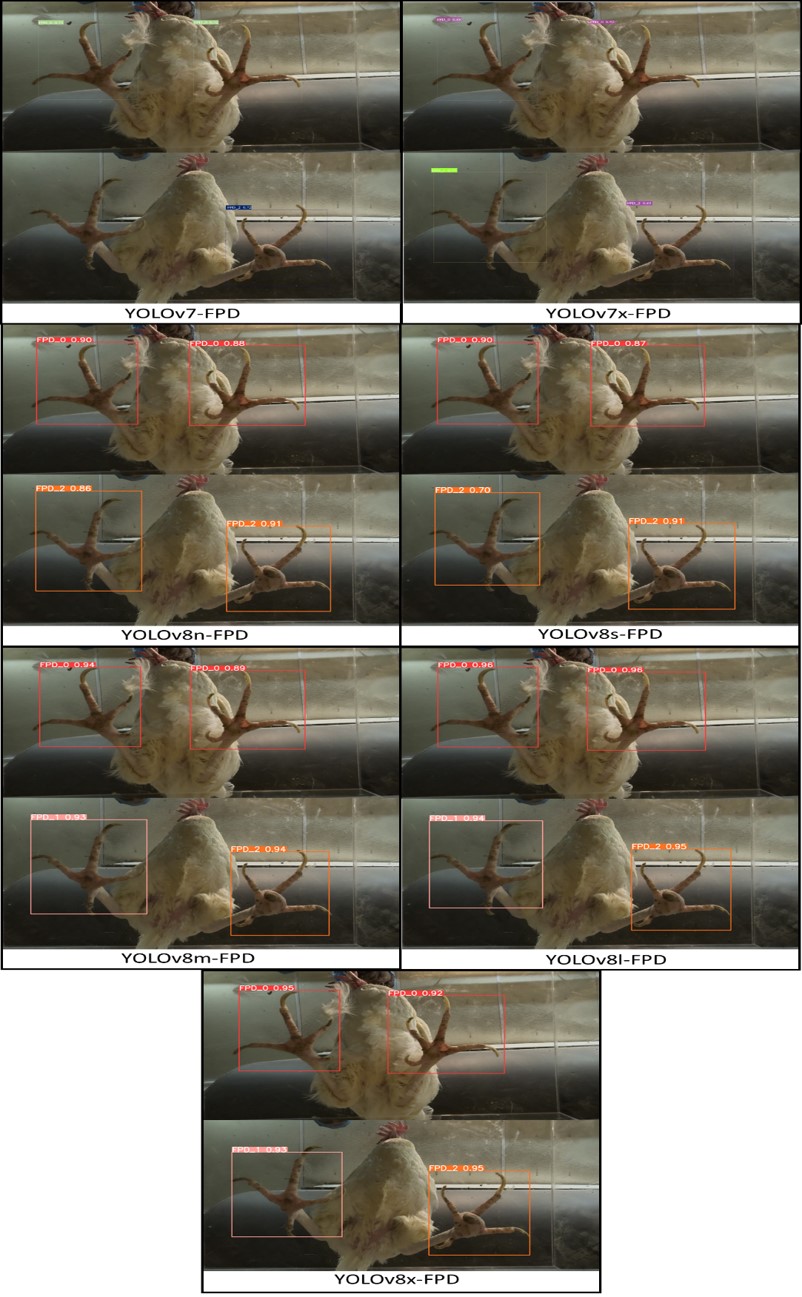 Monitoring Poultry Footpad Dermatitis with Machine Vision Technology ...