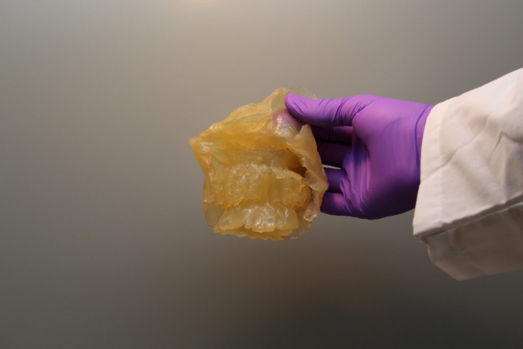 Current Projects | SMART Food Processing Lab