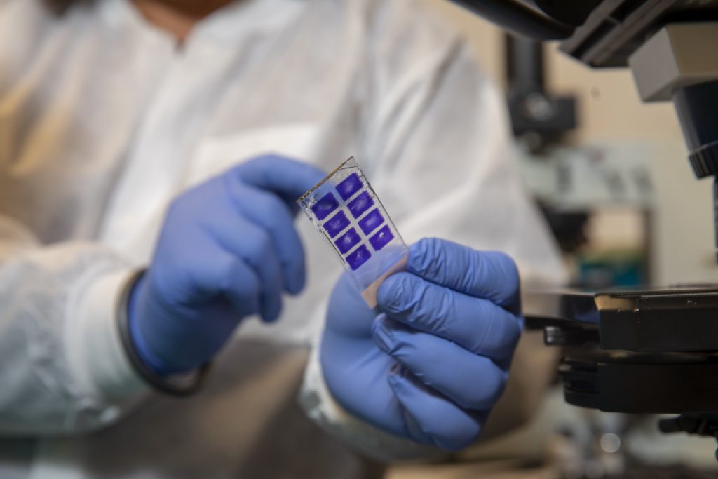 SMART Food Processing Lab | Engineering the foods of the future!