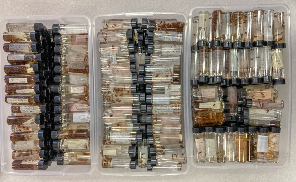 Photos 2022 | UGA Collection of Arthropods